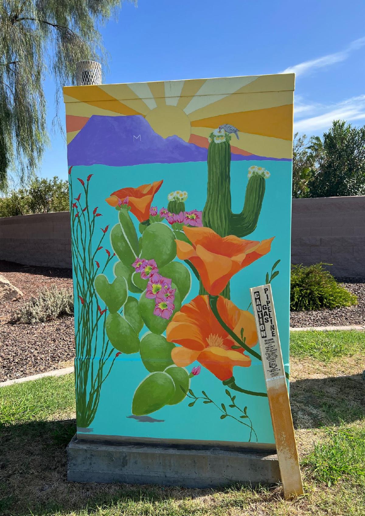 Painting the Big Picture in Maricopa