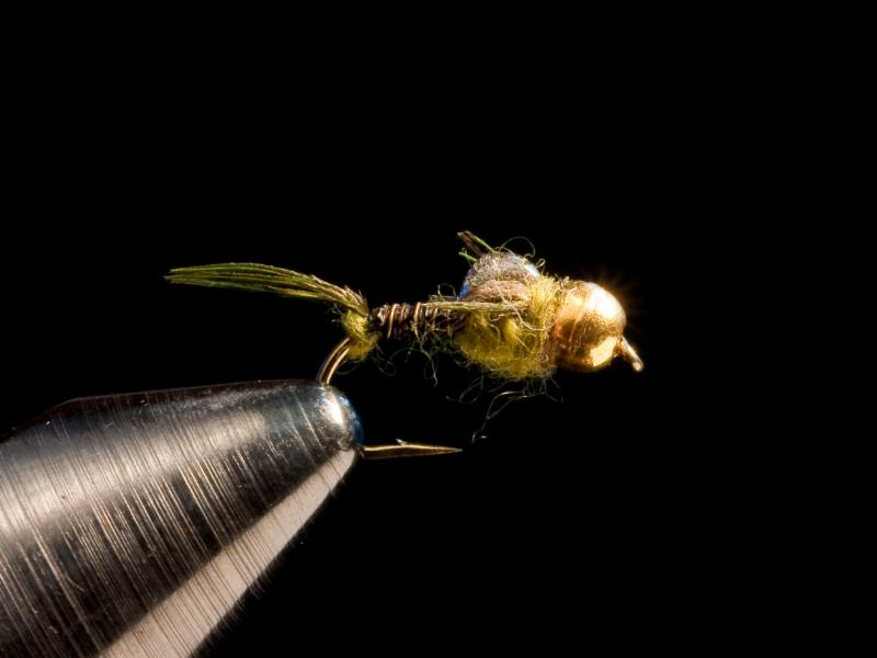 News from Blue Ribbon Flies