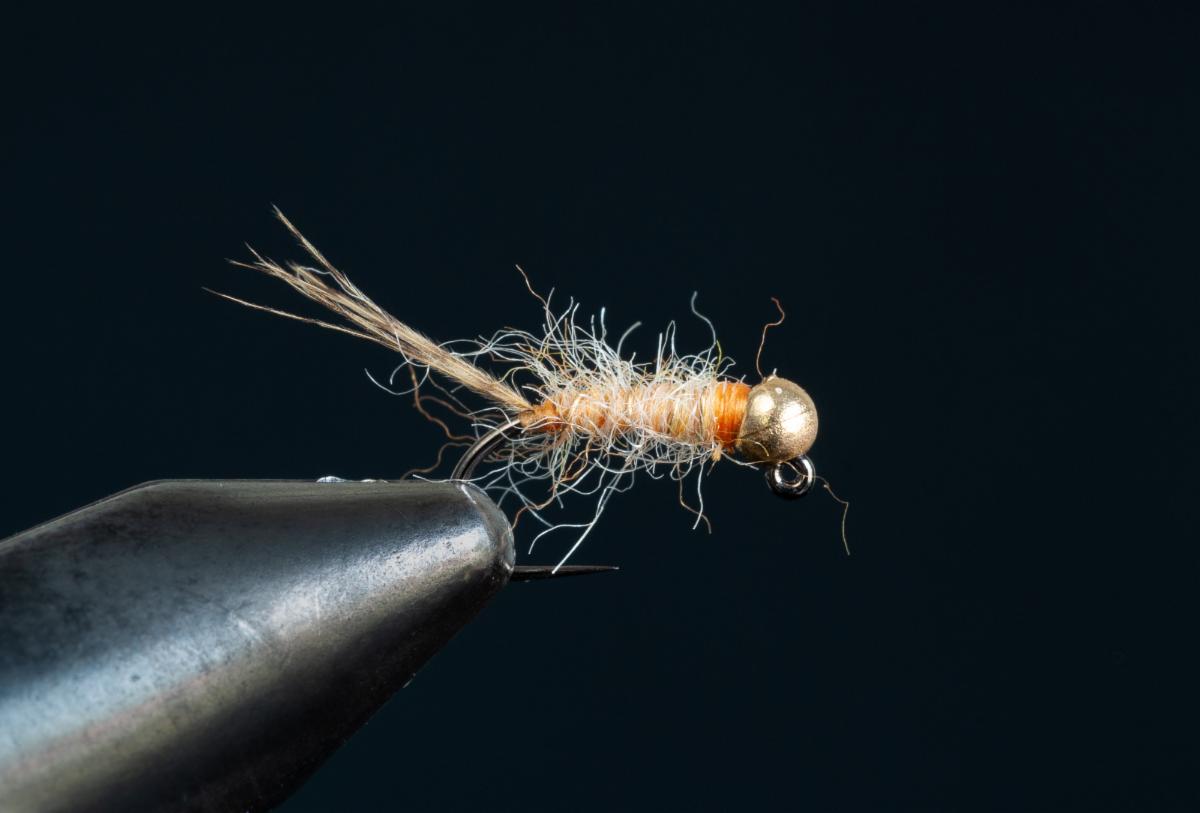 News from Blue Ribbon Flies