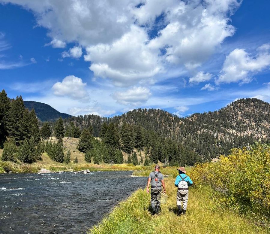 News from Blue Ribbon Flies