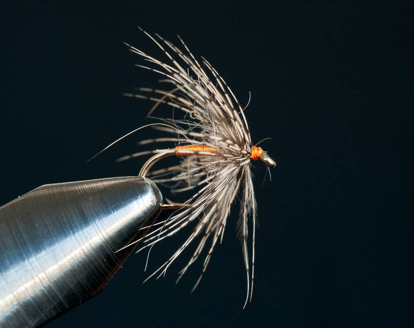 News from Blue Ribbon Flies