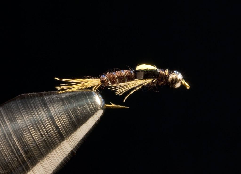 News from Blue Ribbon Flies