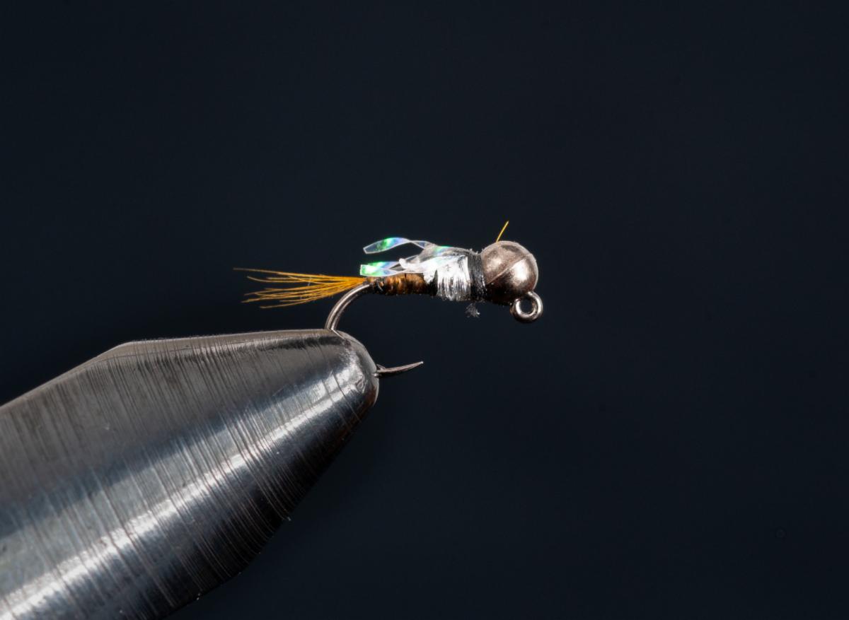 News from Blue Ribbon Flies