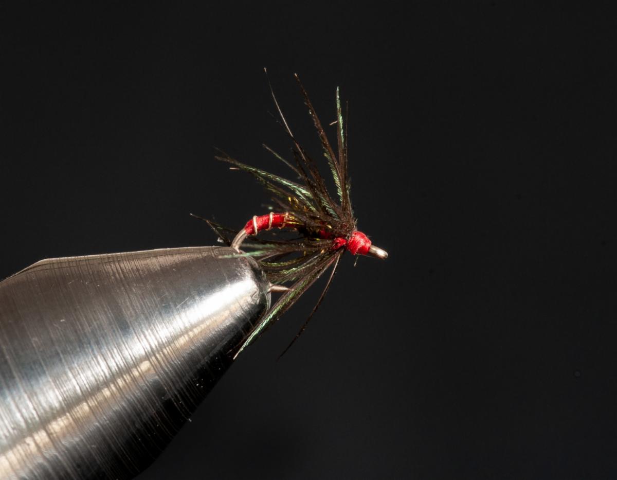 News from Blue Ribbon Flies