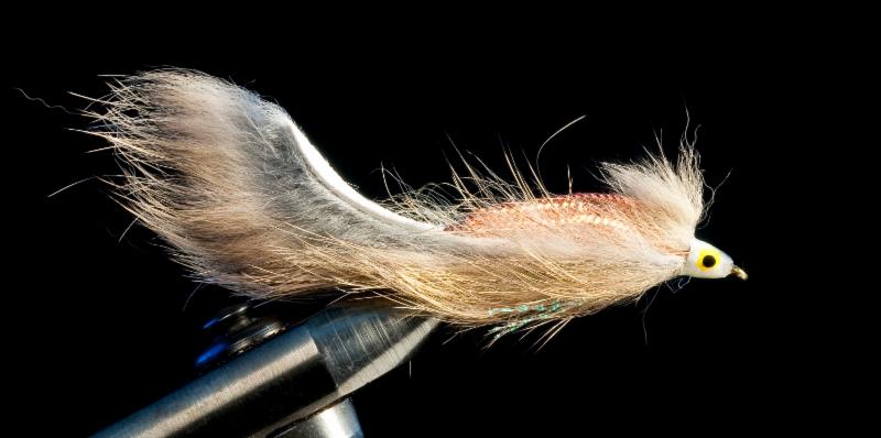 News from Blue Ribbon Flies