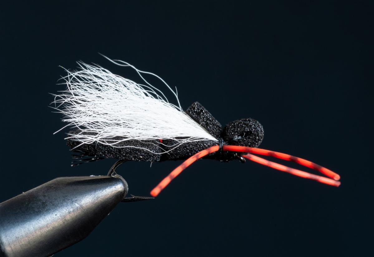 News from Blue Ribbon Flies