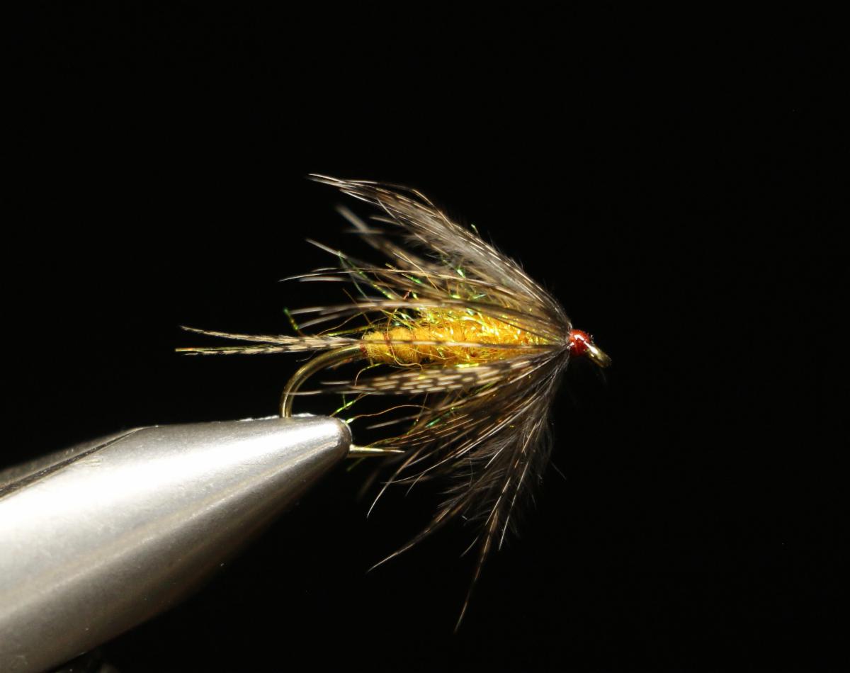 News from Blue Ribbon Flies