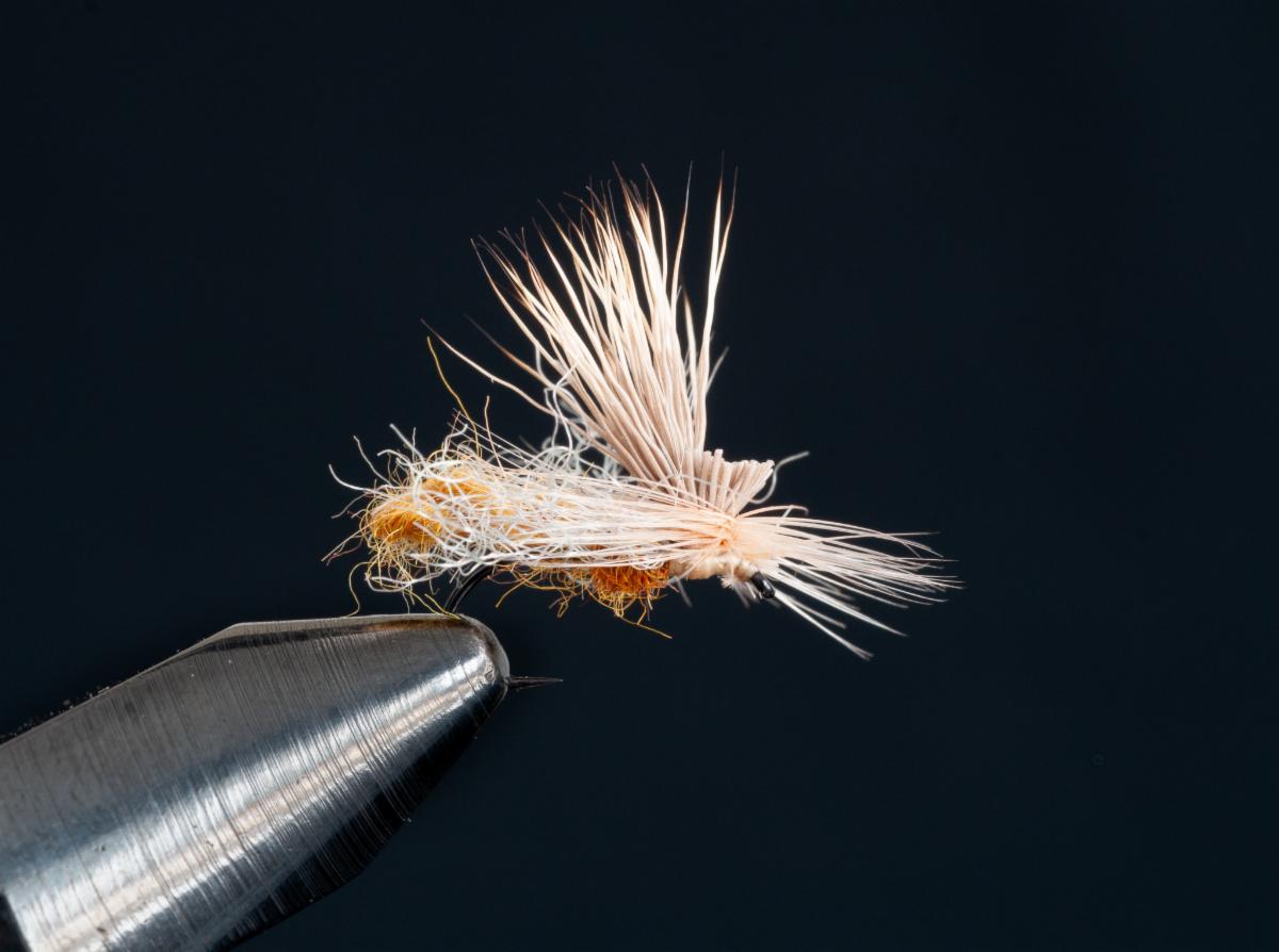 News from Blue Ribbon Flies