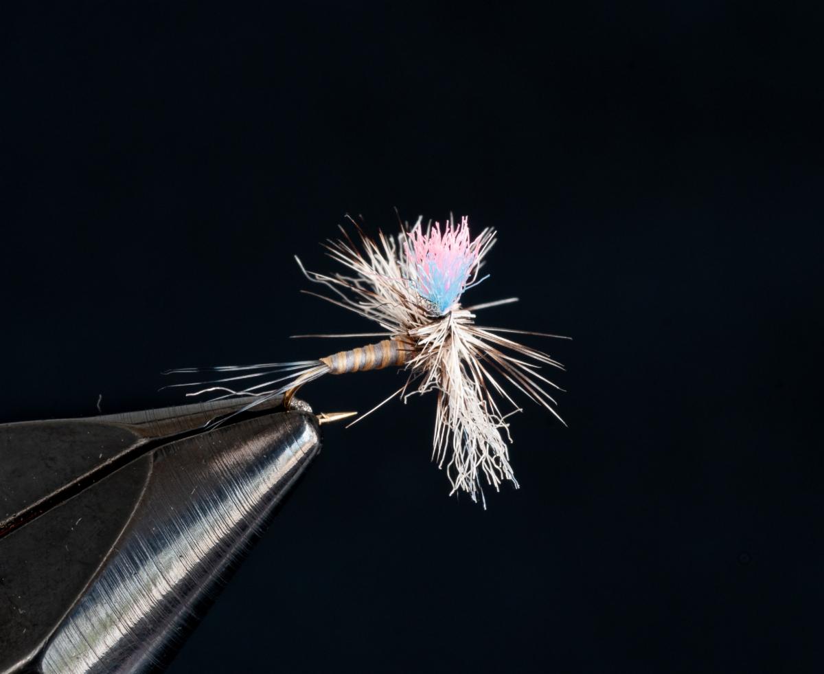 News from Blue Ribbon Flies