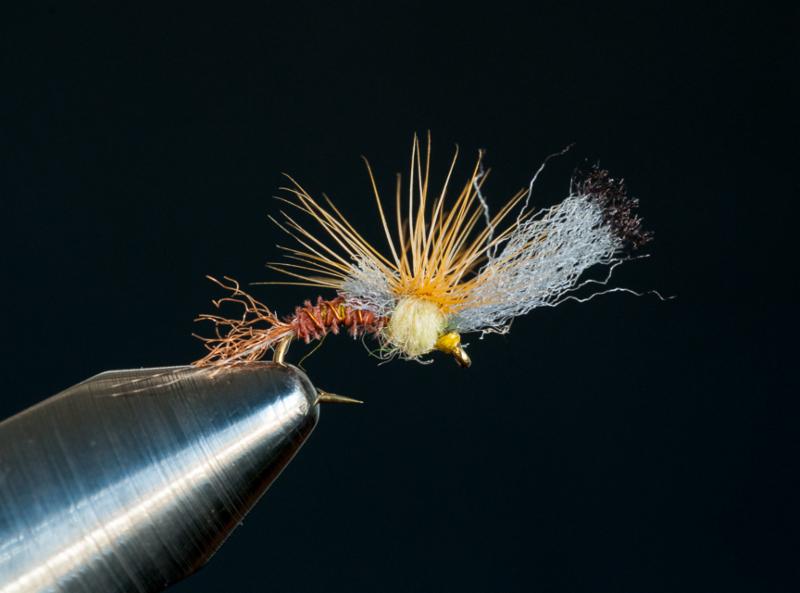 News from Blue Ribbon Flies