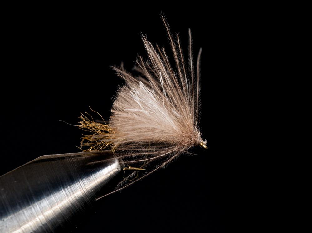 News from Blue Ribbon Flies