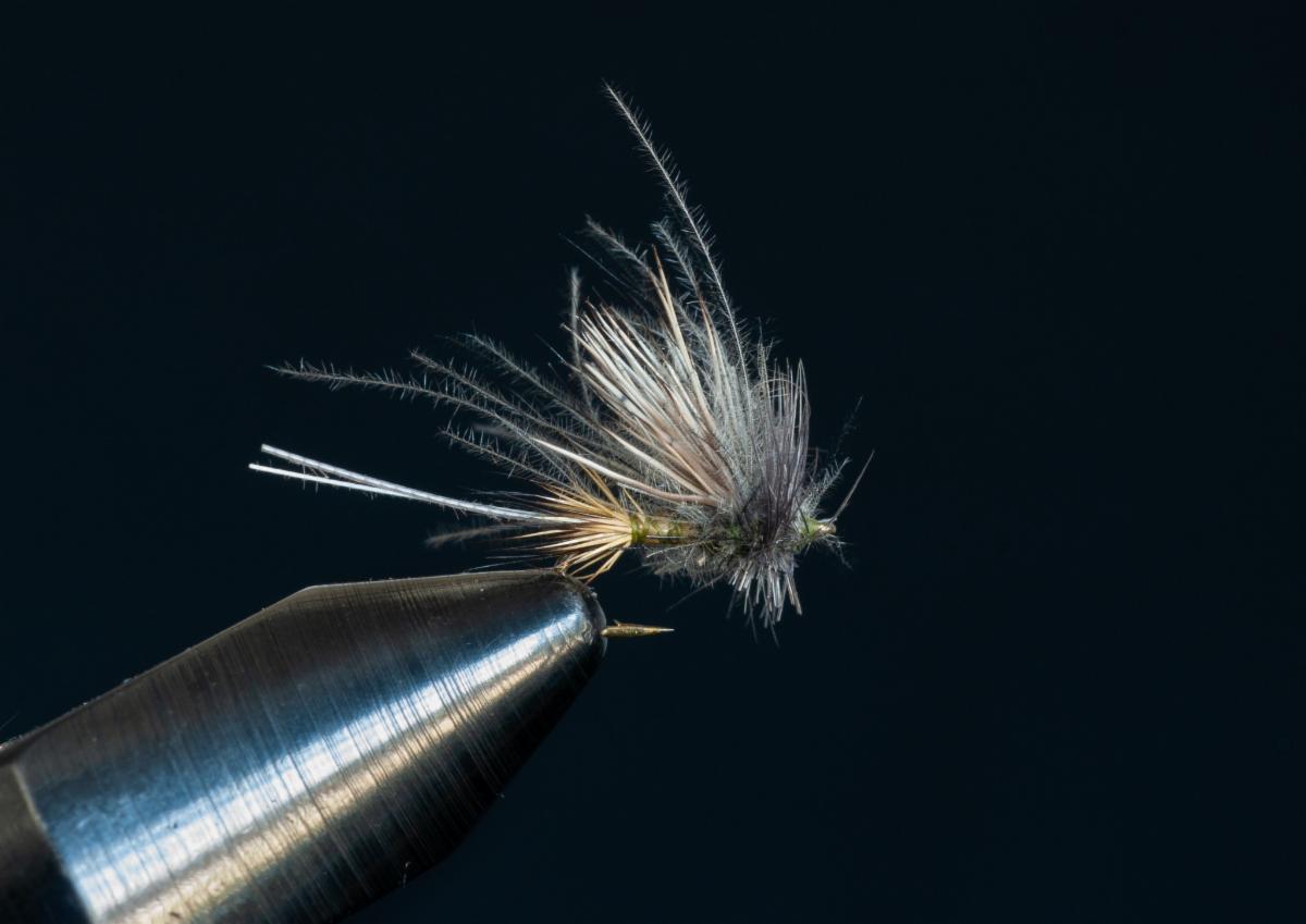 News from Blue Ribbon Flies