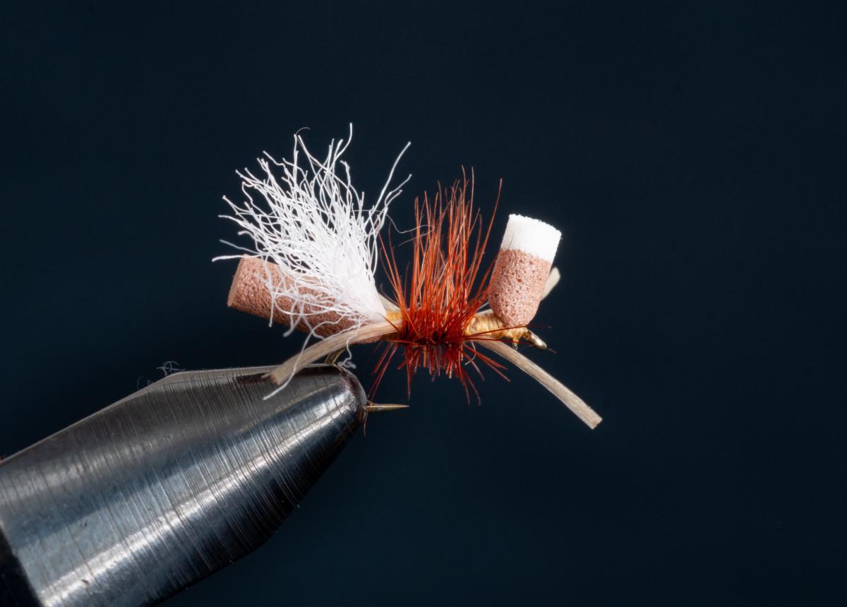 News from Blue Ribbon Flies