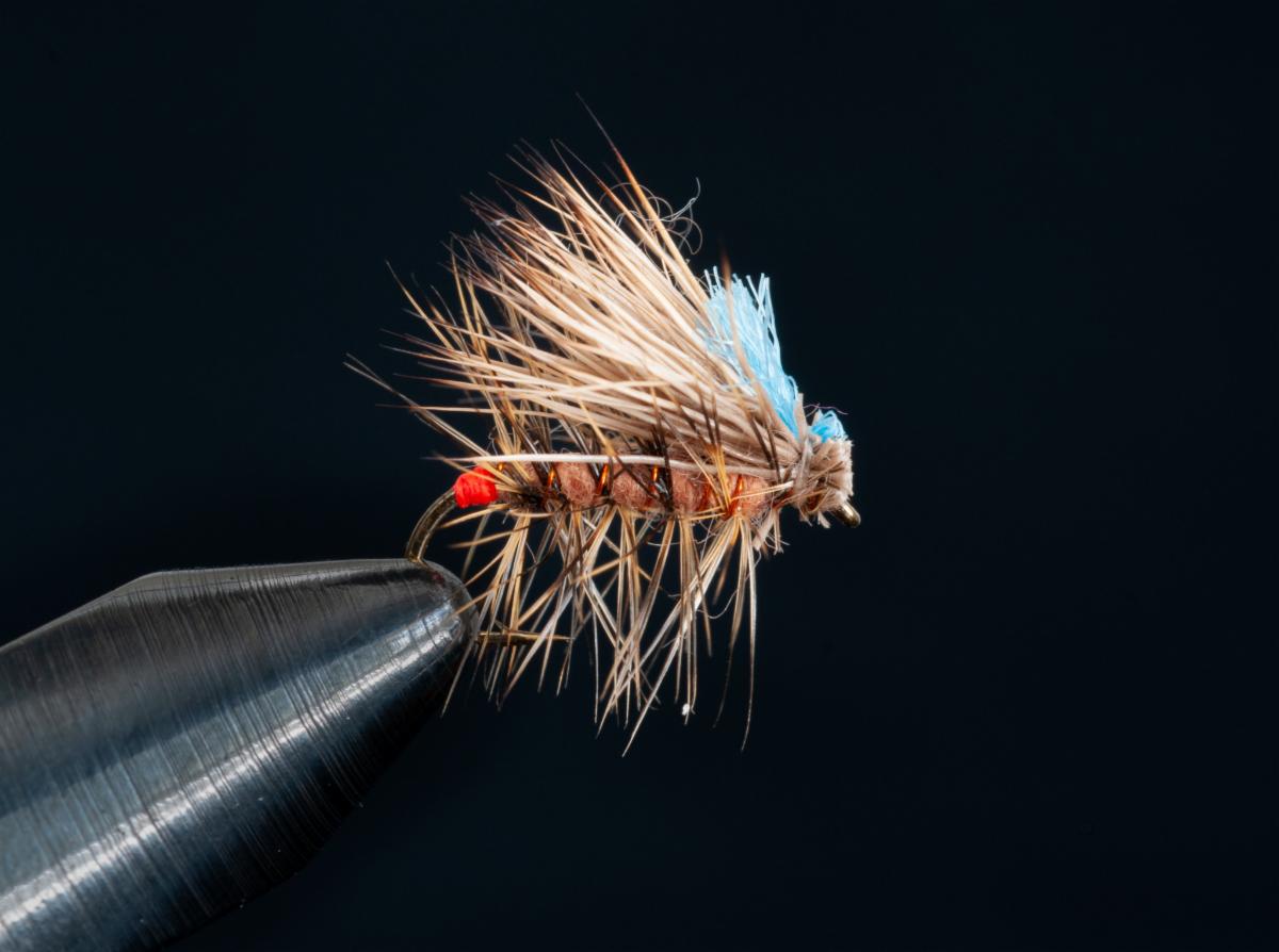 News from Blue Ribbon Flies