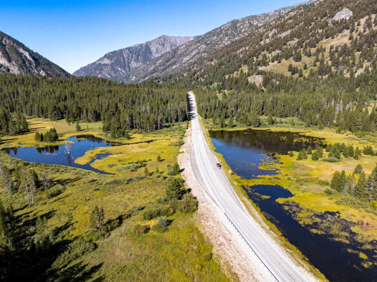 News from Blue Ribbon Flies