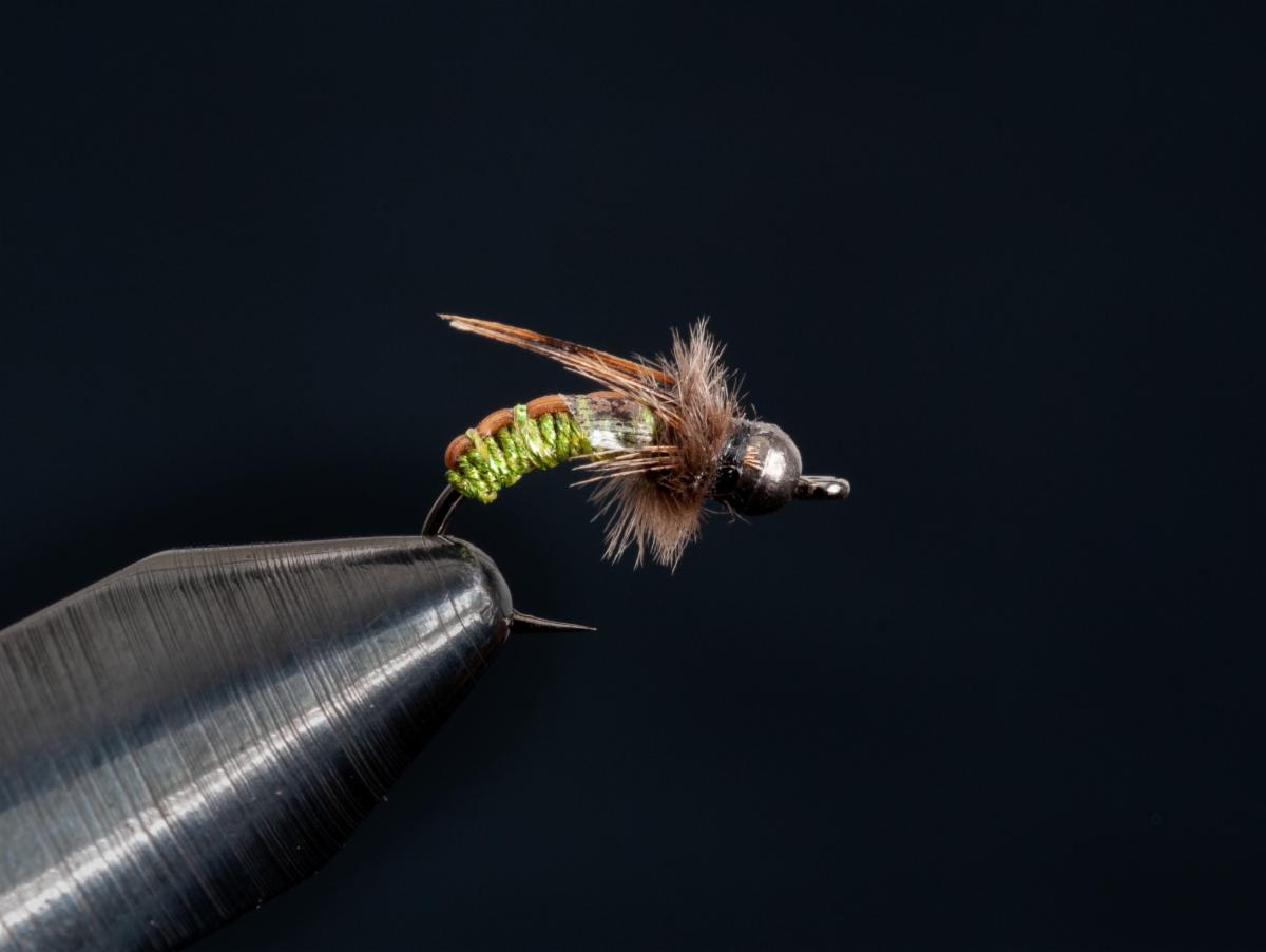 News from Blue Ribbon Flies