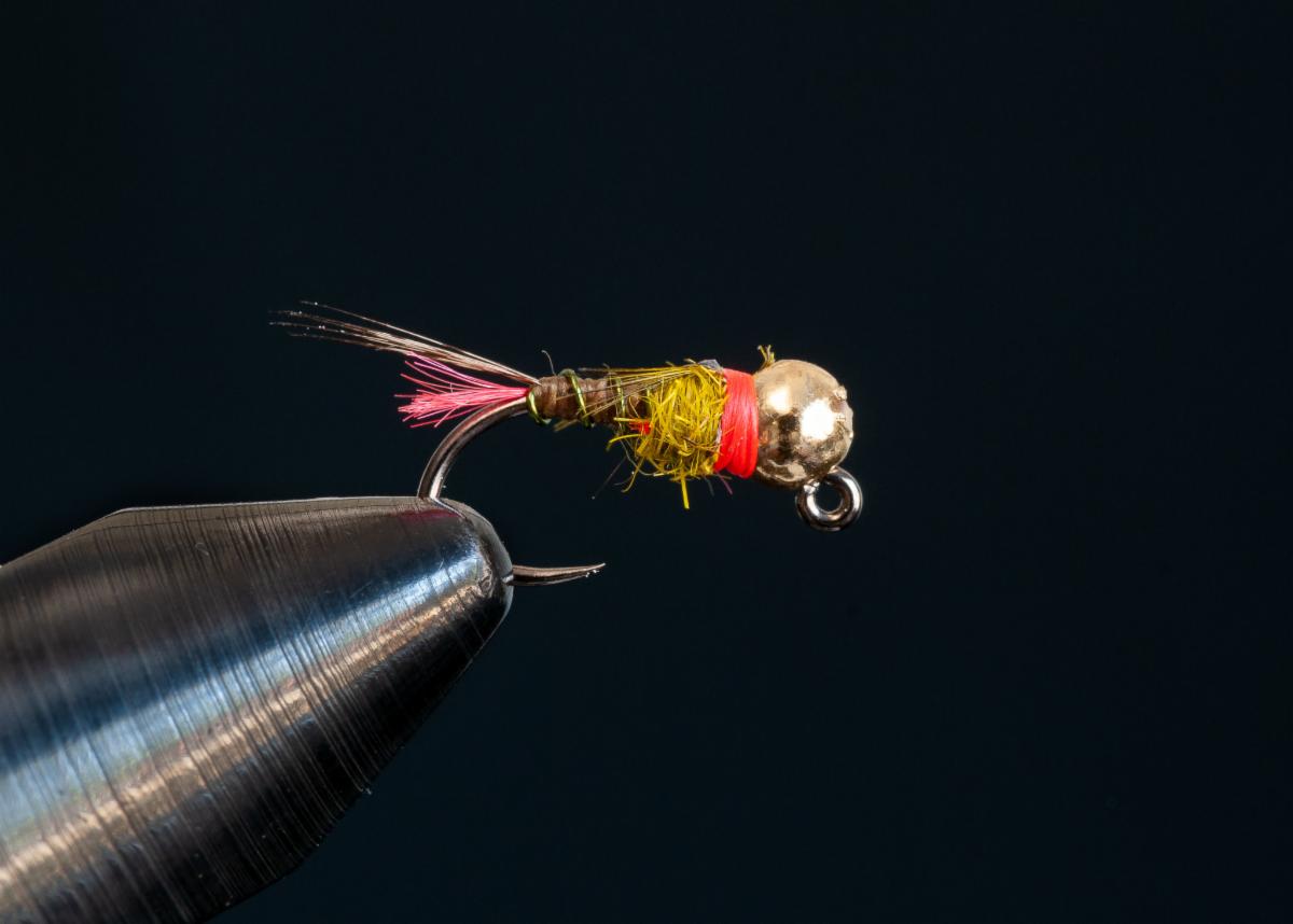 News from Blue Ribbon Flies