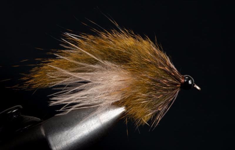 News from Blue Ribbon Flies