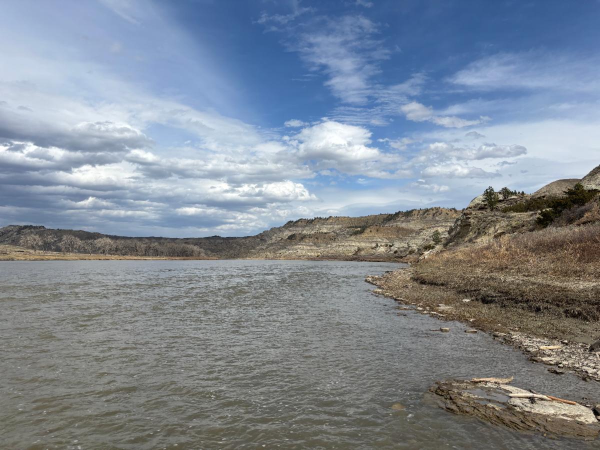 News from Blue Ribbon Flies