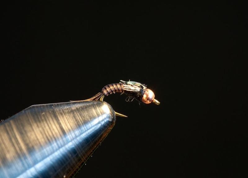 News from Blue Ribbon Flies