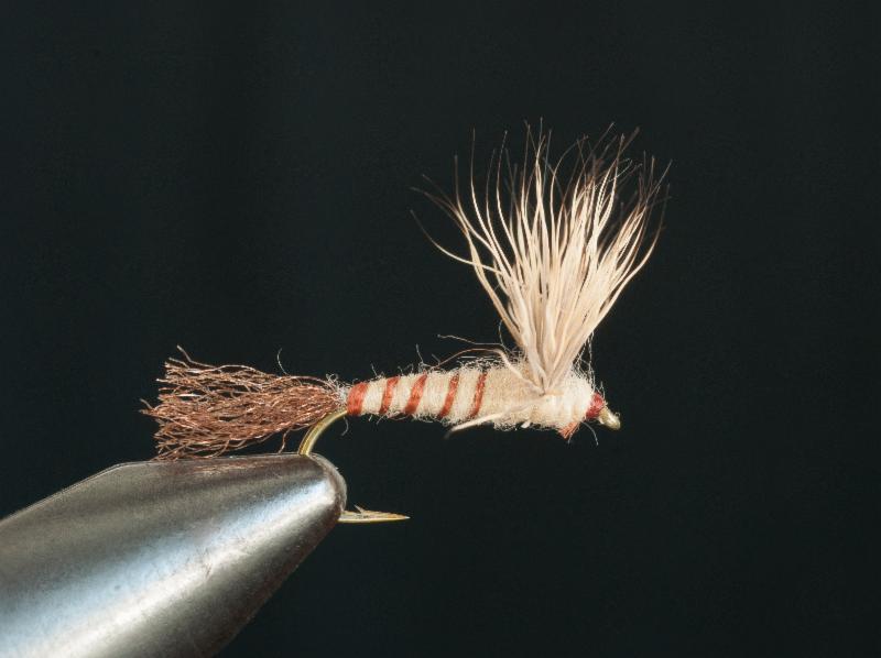 News from Blue Ribbon Flies