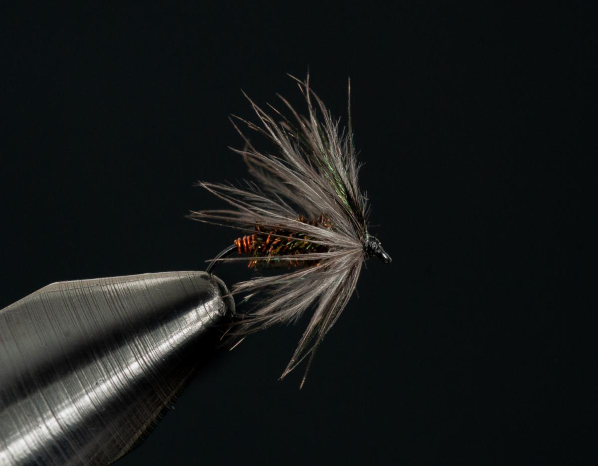 News from Blue Ribbon Flies