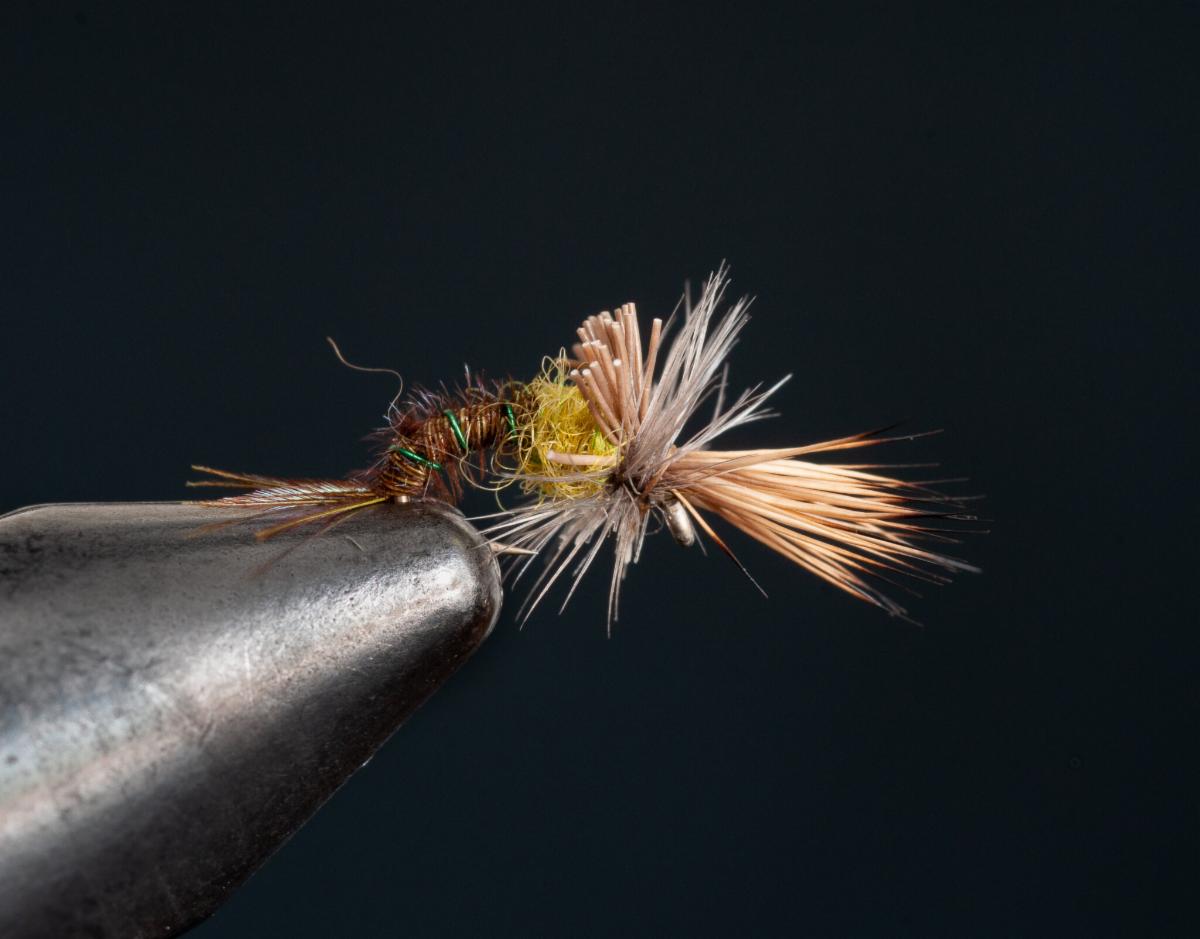News from Blue Ribbon Flies
