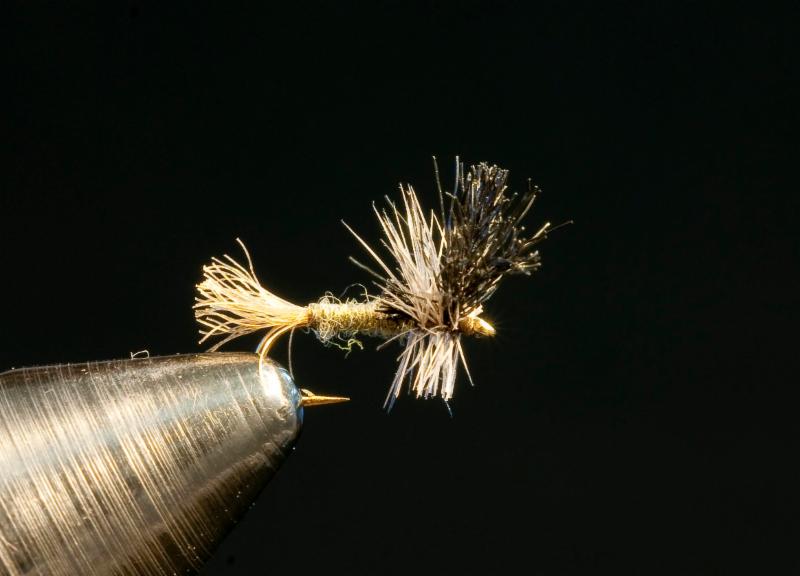 News from Blue Ribbon Flies