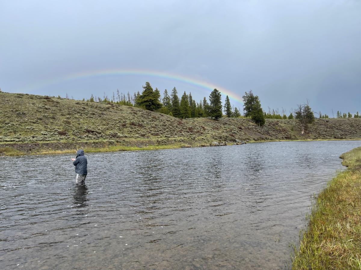 News from Blue Ribbon Flies