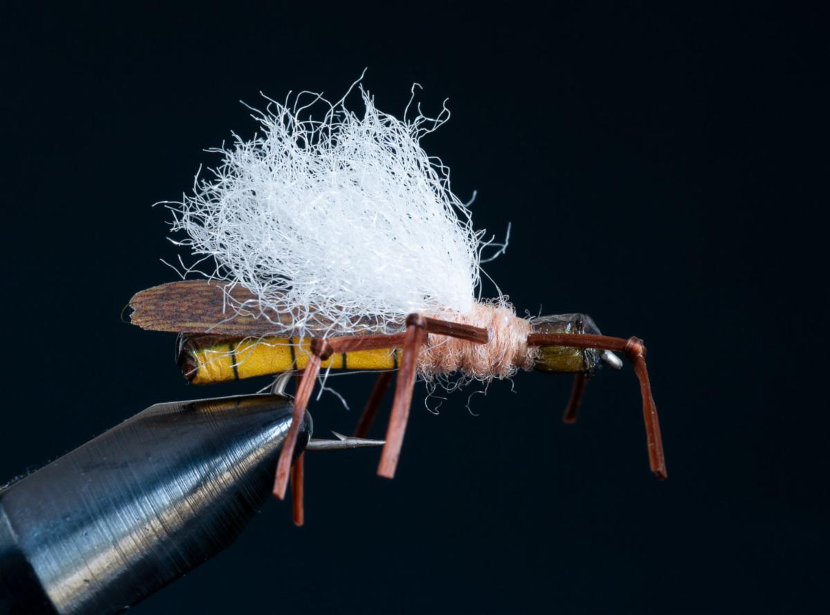 News from Blue Ribbon Flies