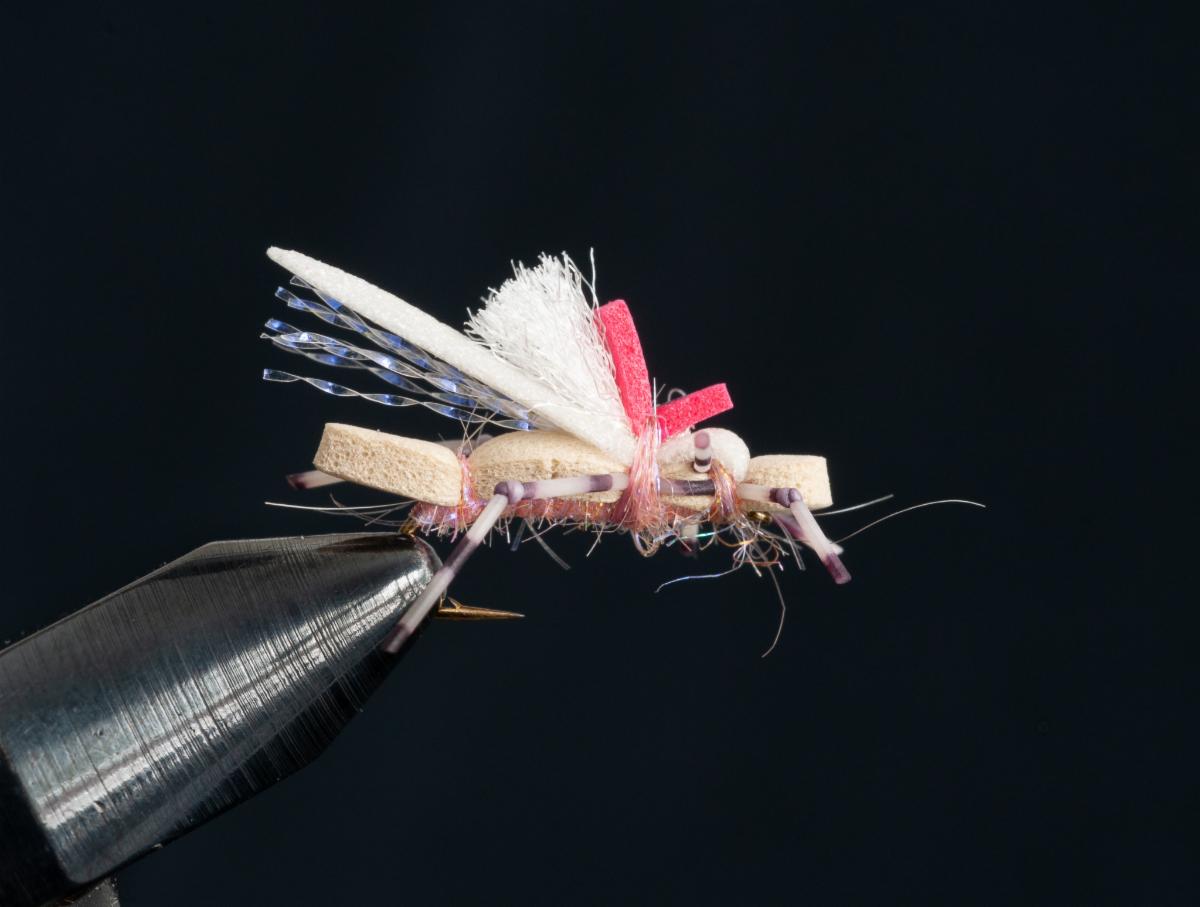 News from Blue Ribbon Flies