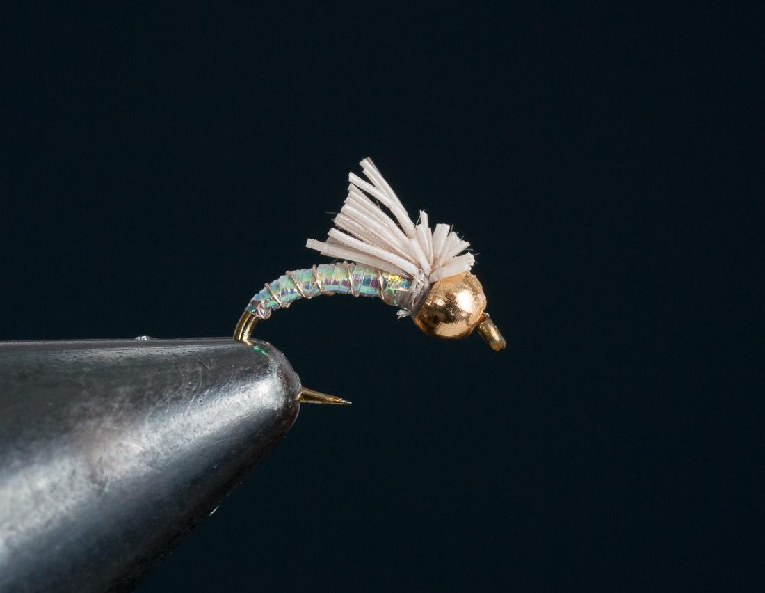 News from Blue Ribbon Flies