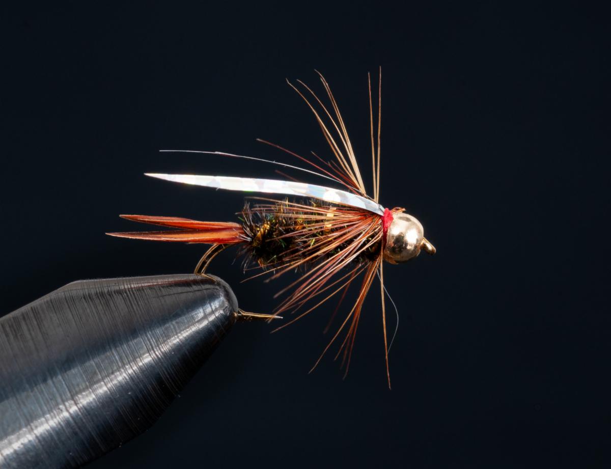 News from Blue Ribbon Flies