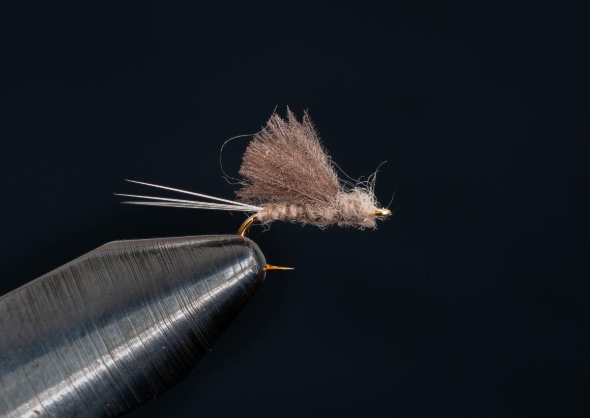 News from Blue Ribbon Flies