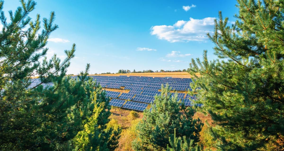 Support CPV County Line Solar