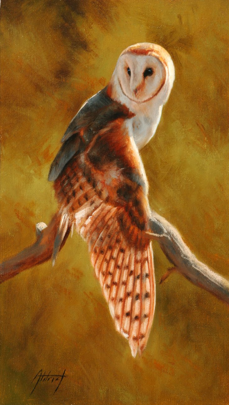 Edward Aldrich - " The Wonder of the Wild"