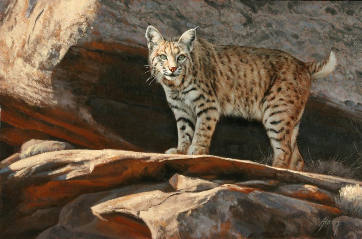 Edward Aldrich - " The Wonder of the Wild"