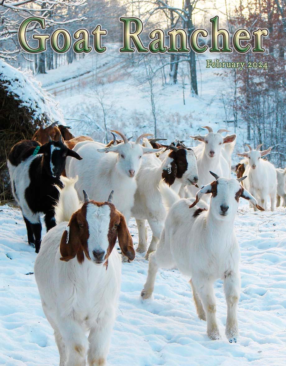 Goat Rancher February 2024 Newsletter