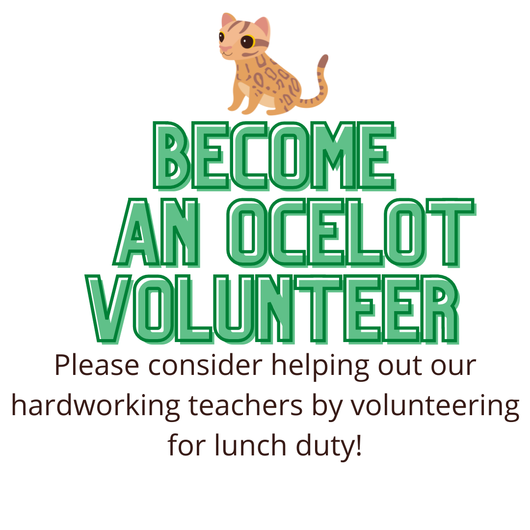 Ocelot News from Oak Creek Charter School- IAN UPDATE