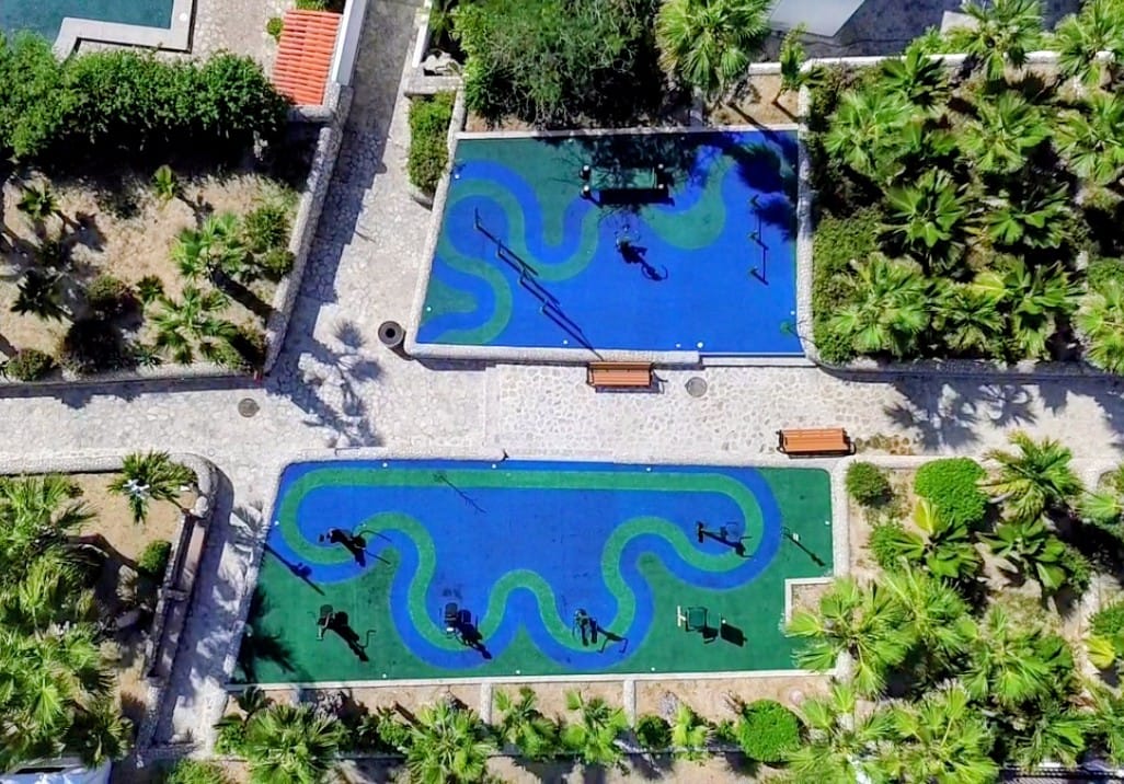 What's Up @ Pedregal | Qué pasa en el Pedregal