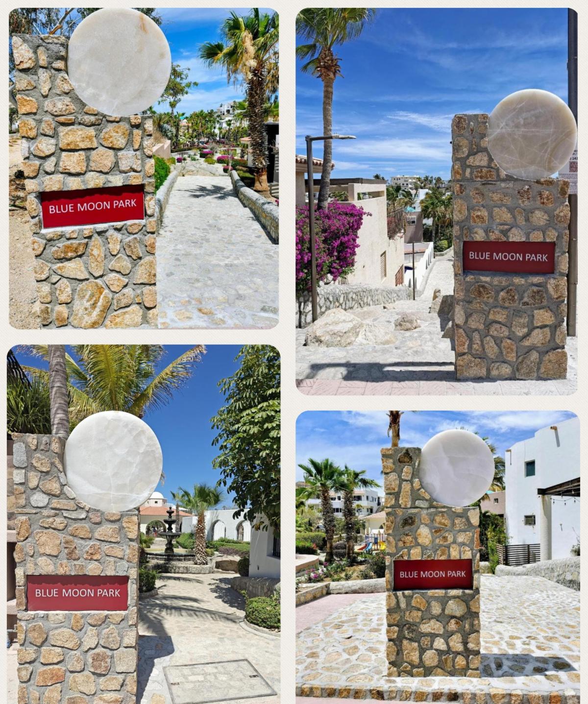 What's Up @ Pedregal | Qué pasa en el Pedregal