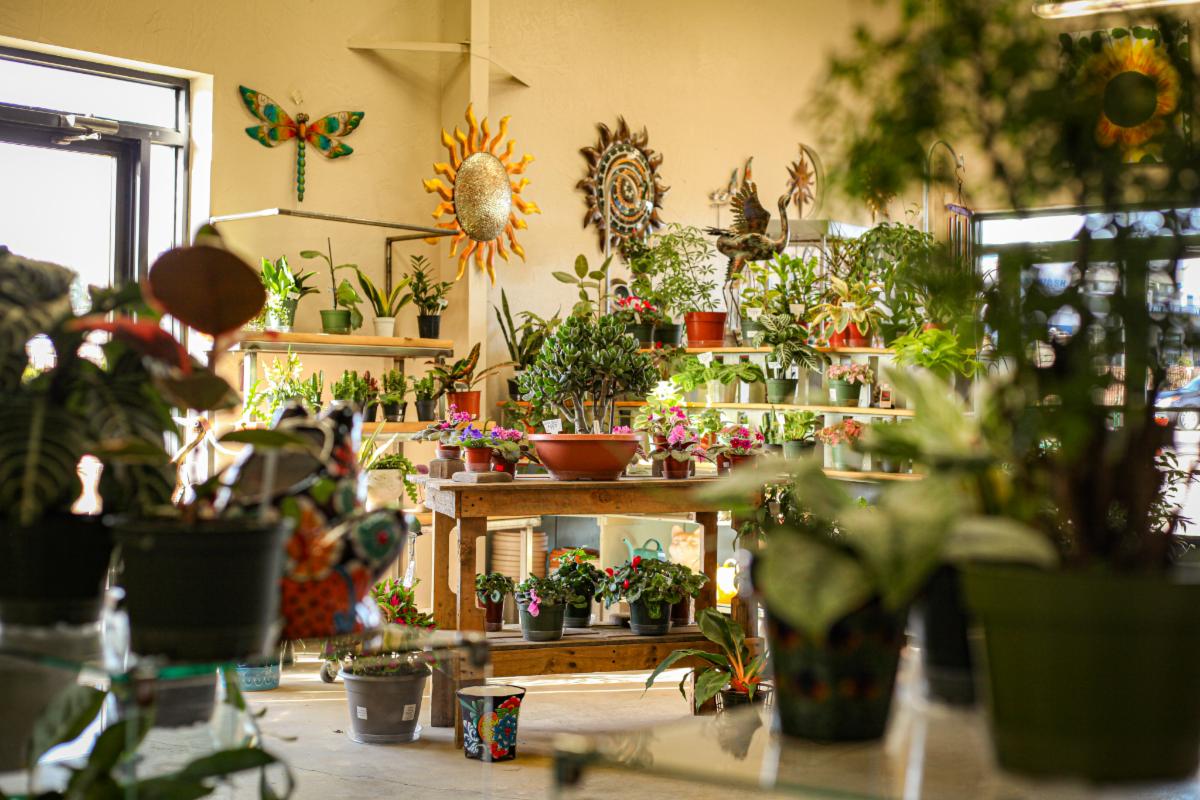 Welcome NEW NNBA Member ~ Mortimer Nursery