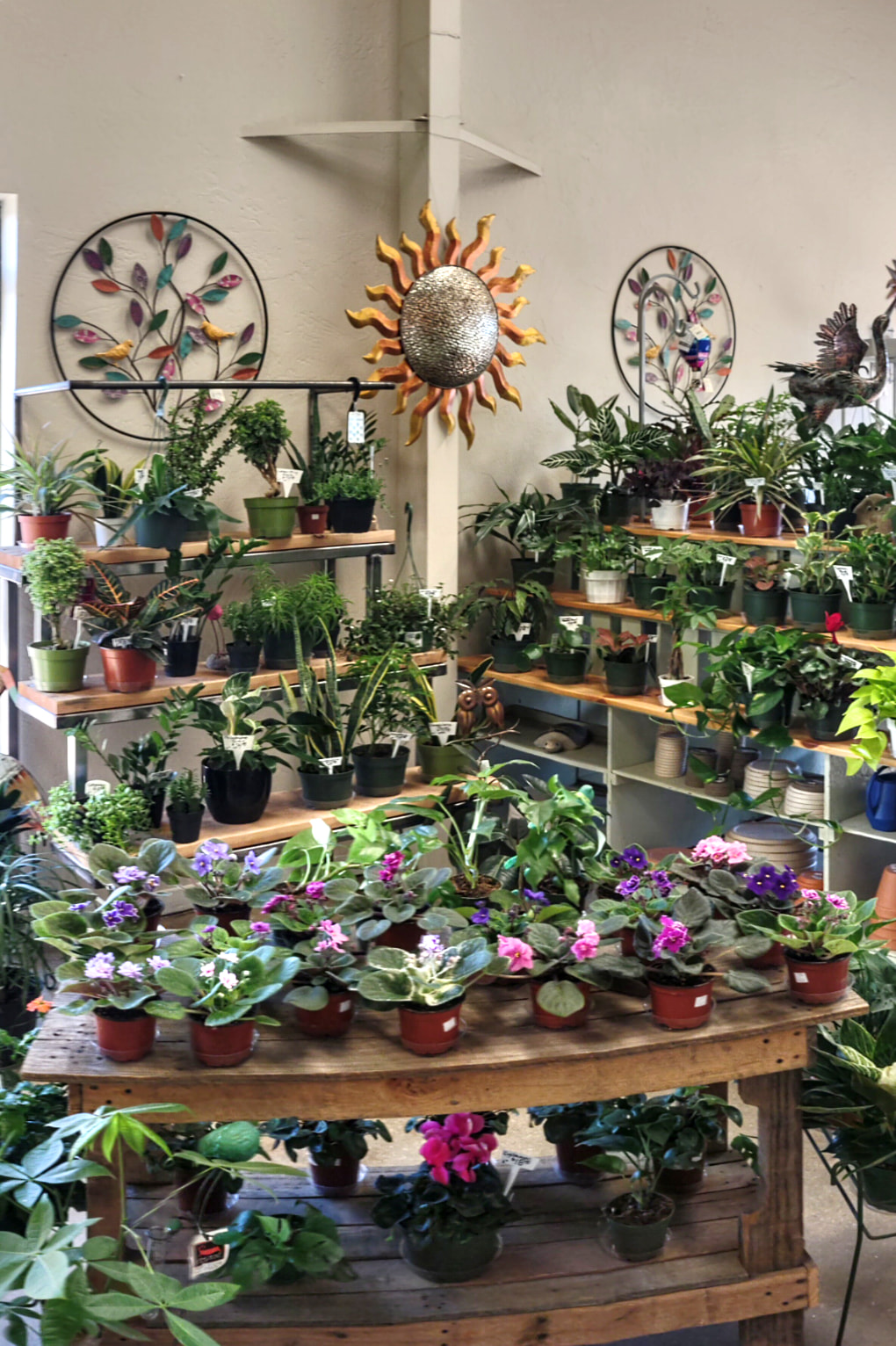 Welcome NEW NNBA Member ~ Mortimer Nursery