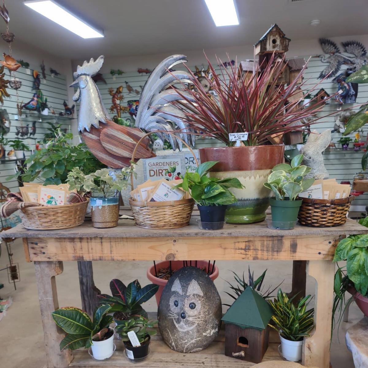 Welcome NEW NNBA Member ~ Mortimer Nursery