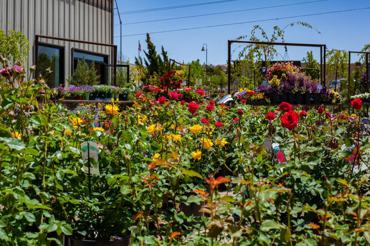 Welcome NEW NNBA Member ~ Mortimer Nursery