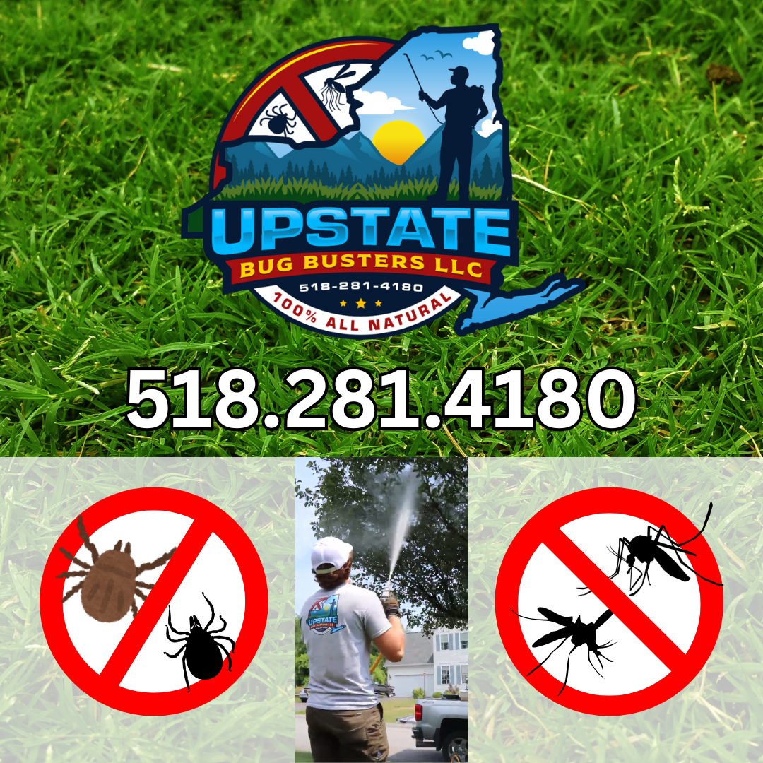 ARCC Connections - Ribbon Cutting tomorrow - Member Deals - Networking Mixers - Arts, Culture ...