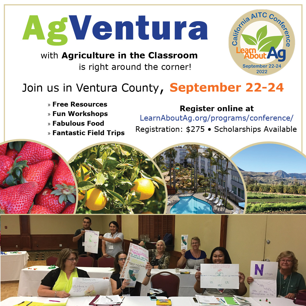 Ventura UCCE News: Pierce's Disease, 21st Annual Strawberry Growers ...