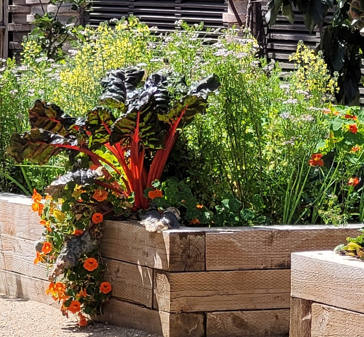 UC Master Gardener April Newsletter