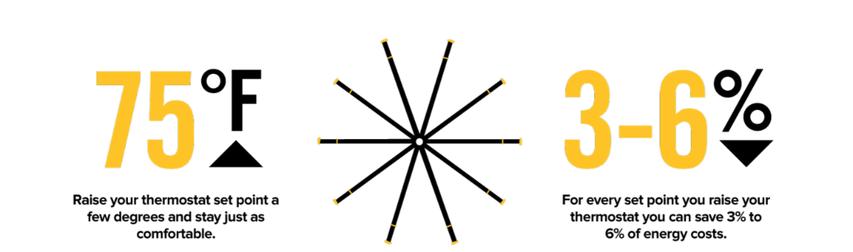 How does temperature affect productivity?