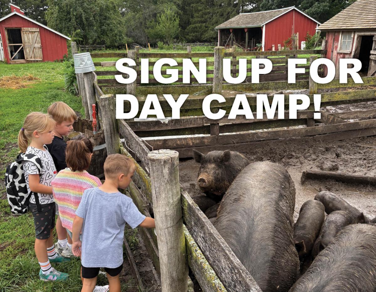 Camp registration is open!